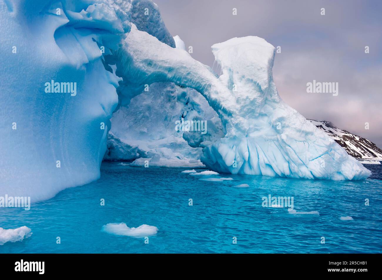 Iceberg, Antarctic Sound, Antarctic Peninsula Stock Photo - Alamy