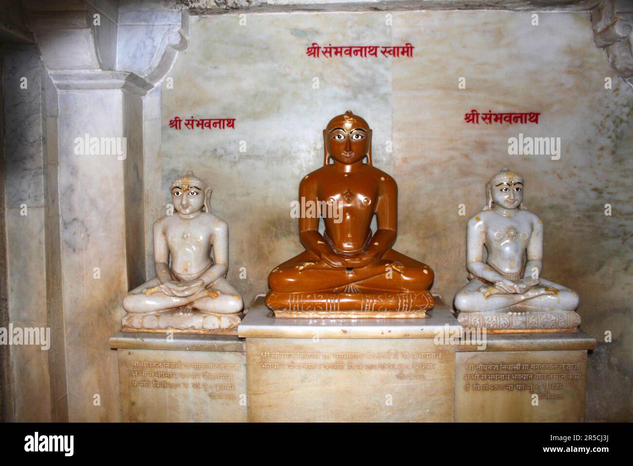 Statues, Tirthankara, Adinatha Temple, Jain Temple, Ranakpur, Rajasthan ...