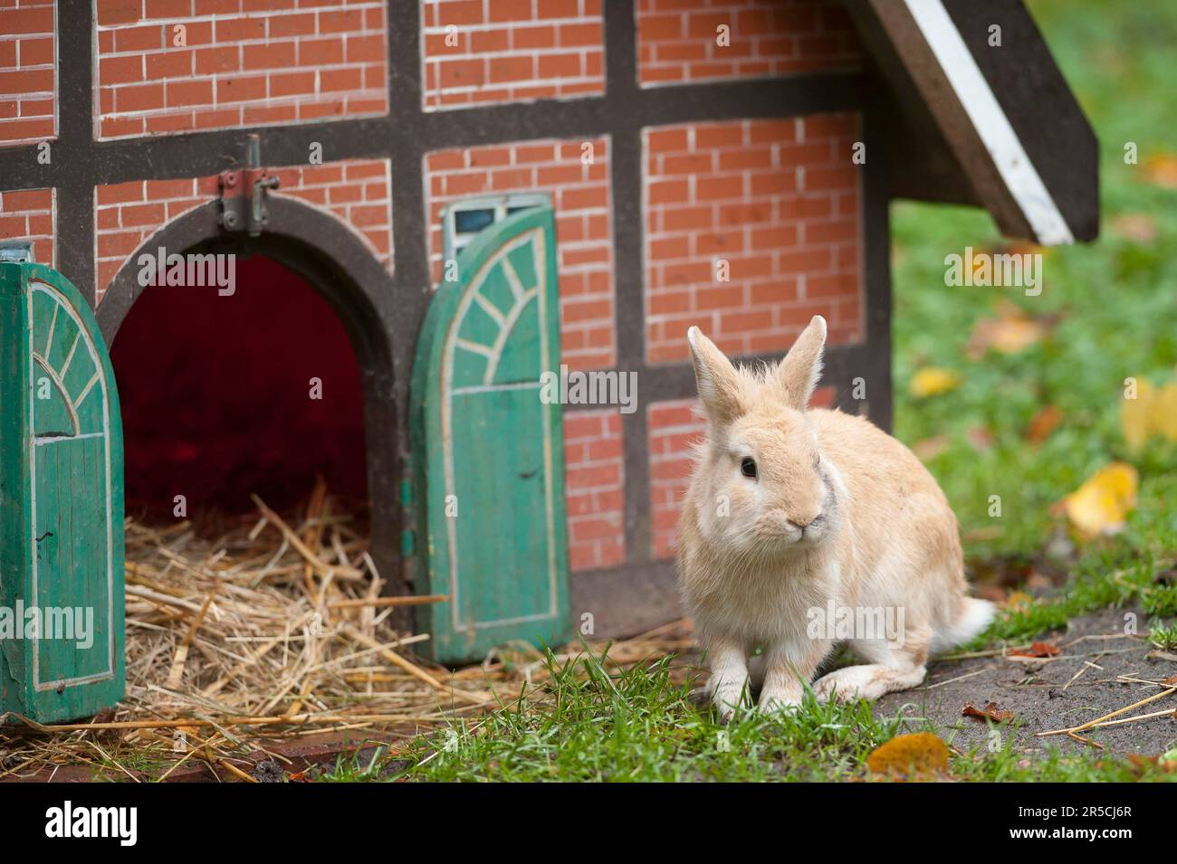 Animal shelter building hi-res stock photography and images - Alamy