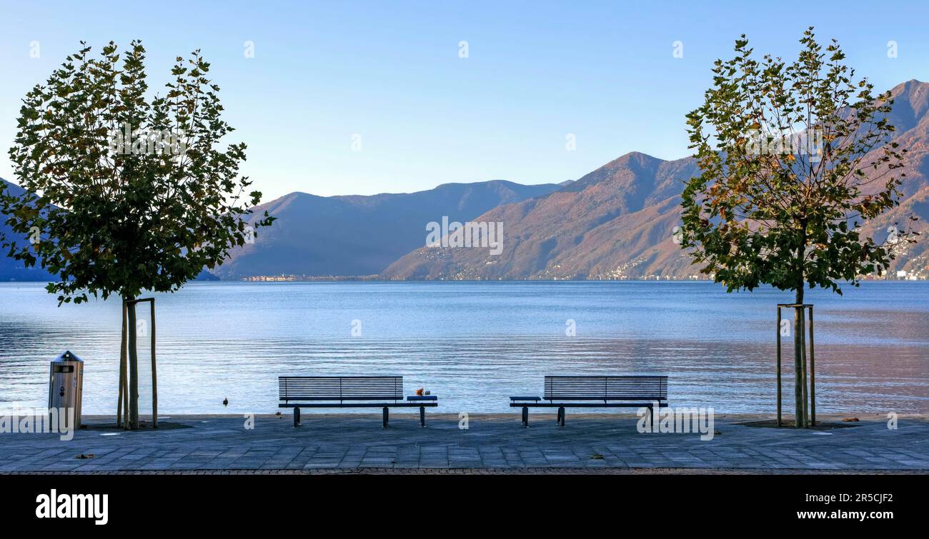 Benches, Lake Ascona, Lake Maggiore, Ticino, Lungo Lago, Switzerland ...