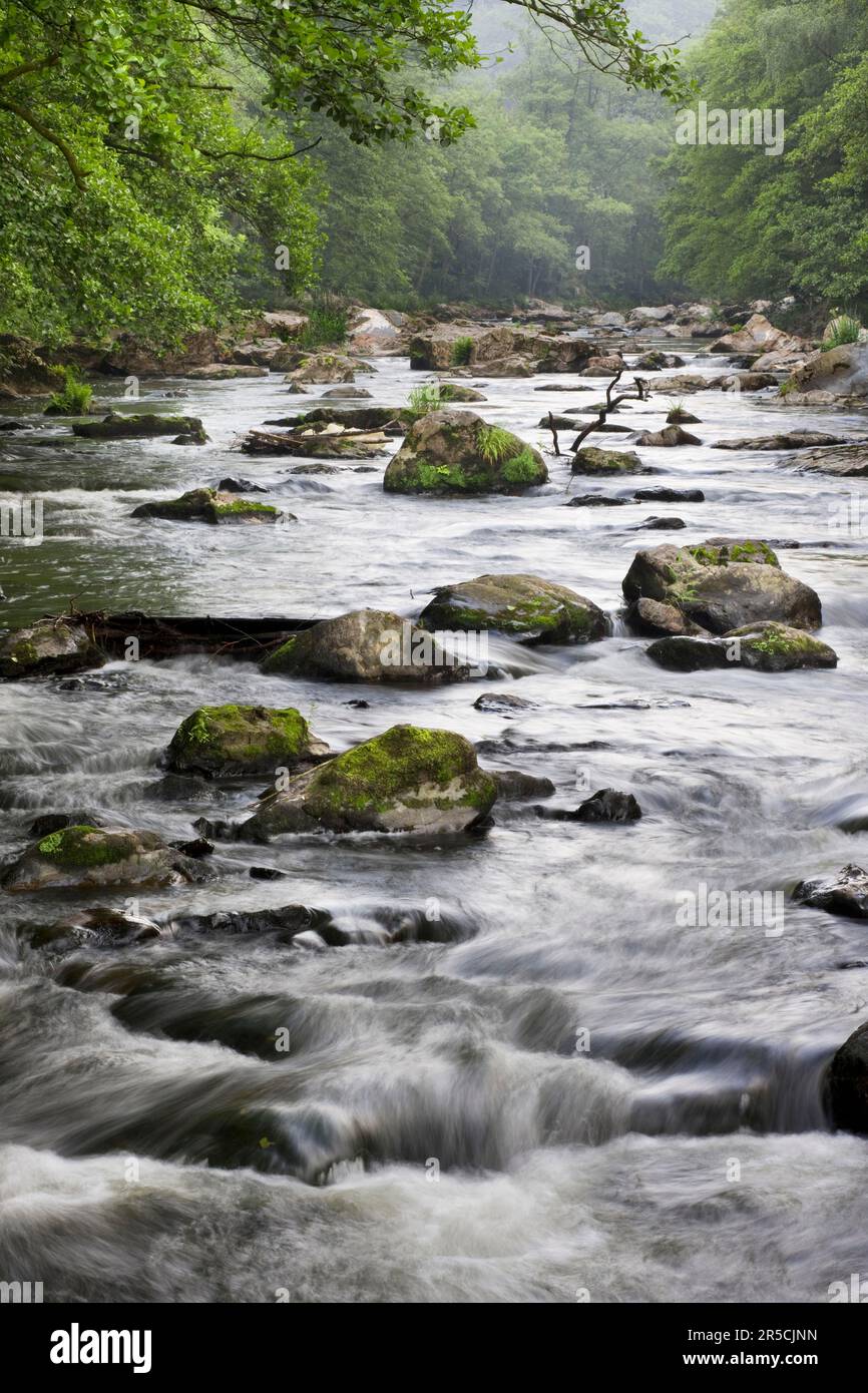 Belgian ardennes geography hi-res stock photography and images - Alamy