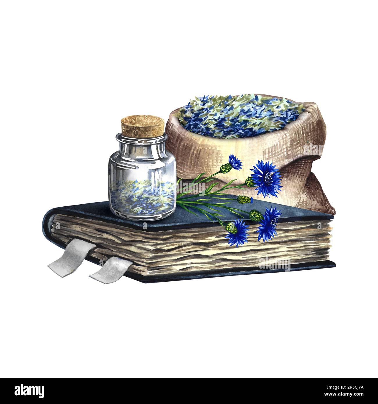 Cornflower officinalis, medicinal herb, dried, crushed in a linen bag ...