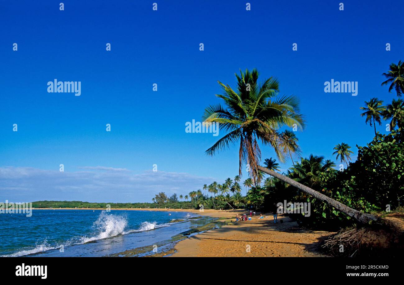 Tres Palmitas Beach, Loiza, Puerto Rico, Caribbean Stock Photo - Alamy