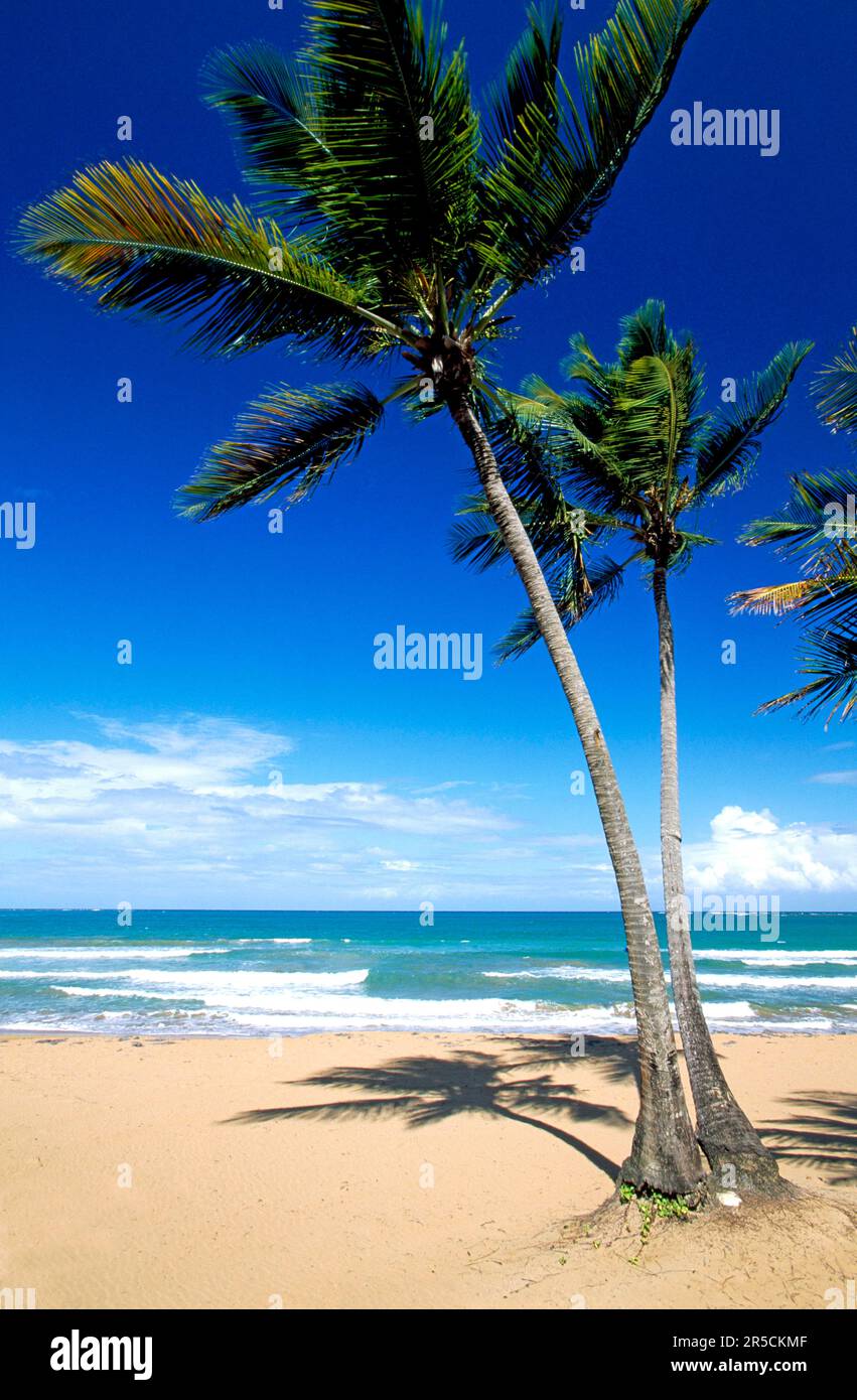Coco Beach, Rio Grande, Puerto Rico, Caribbean Stock Photo - Alamy