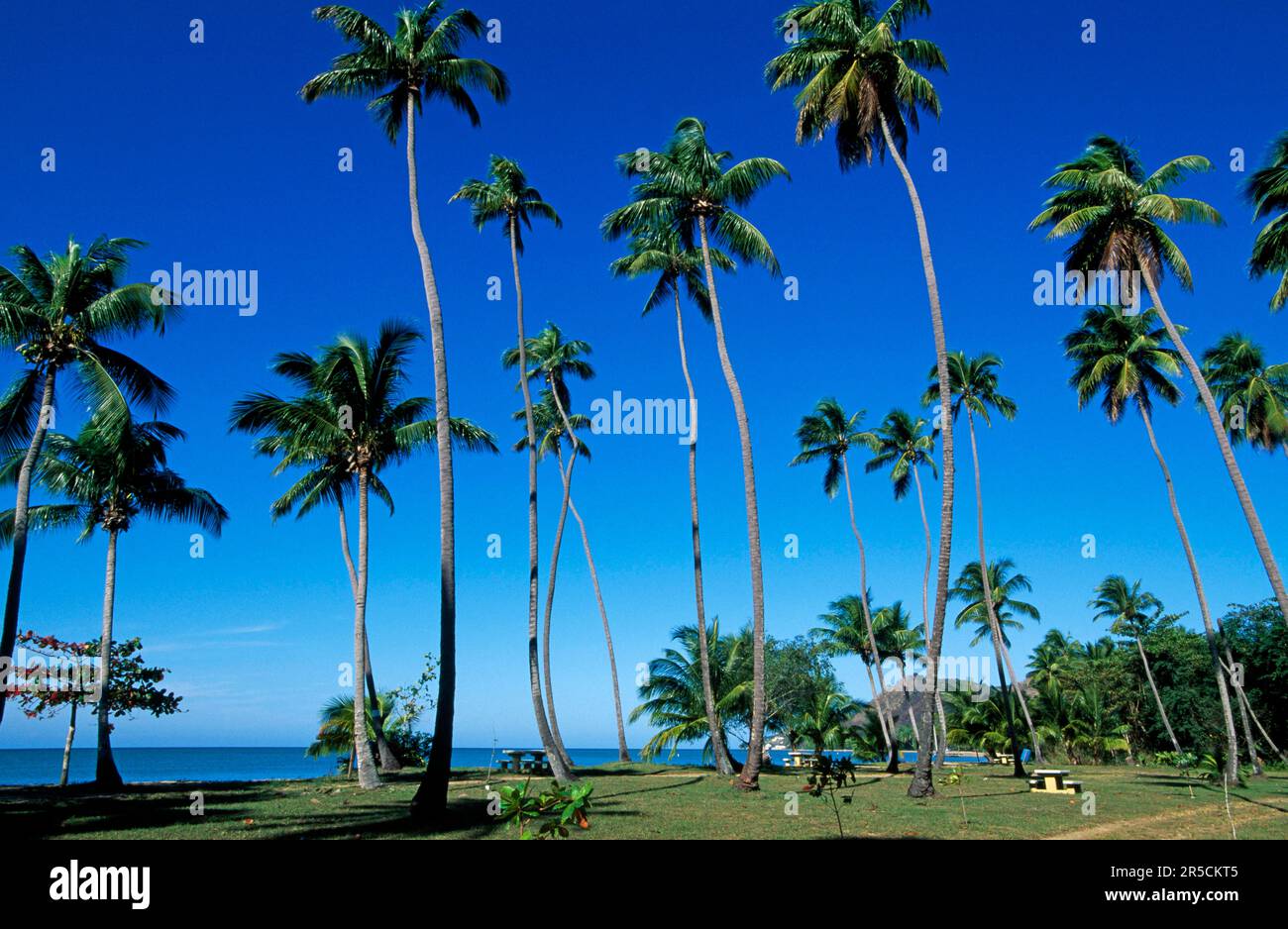 Anasco puerto rico hi-res stock photography and images - Alamy