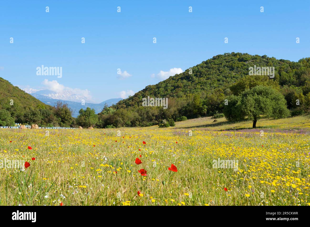 Landscape with view of the Beydaglan/Bey Daglari Mountains, Riviera ...