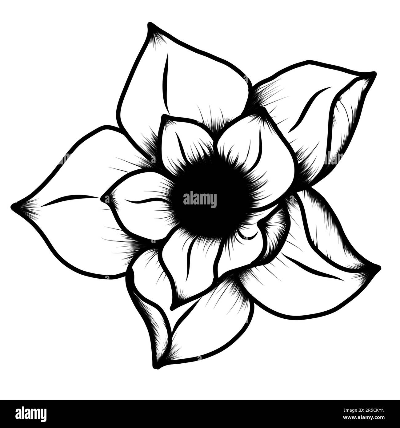 line art flower illustration Stock Photo - Alamy