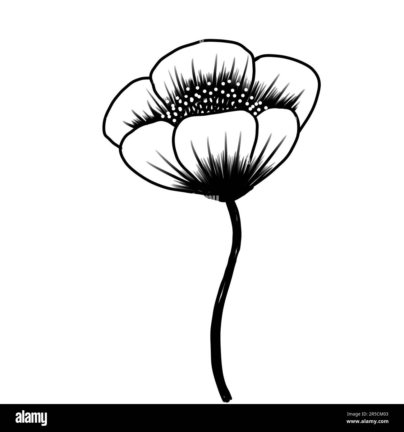 line art flower illustration Stock Photo - Alamy