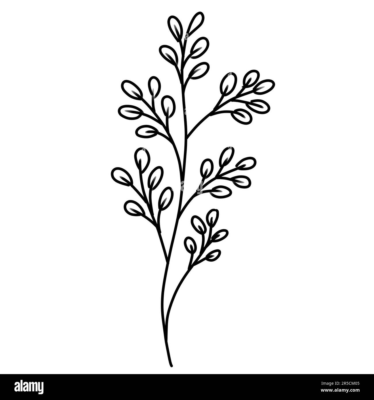 line art leaf botanical illustration Stock Photo - Alamy