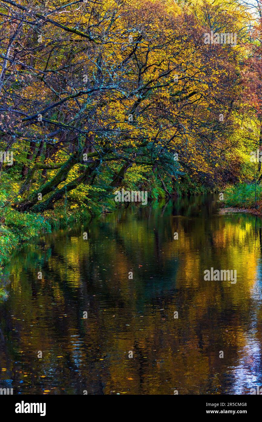 Distillery scotland river isla hi-res stock photography and images - Alamy