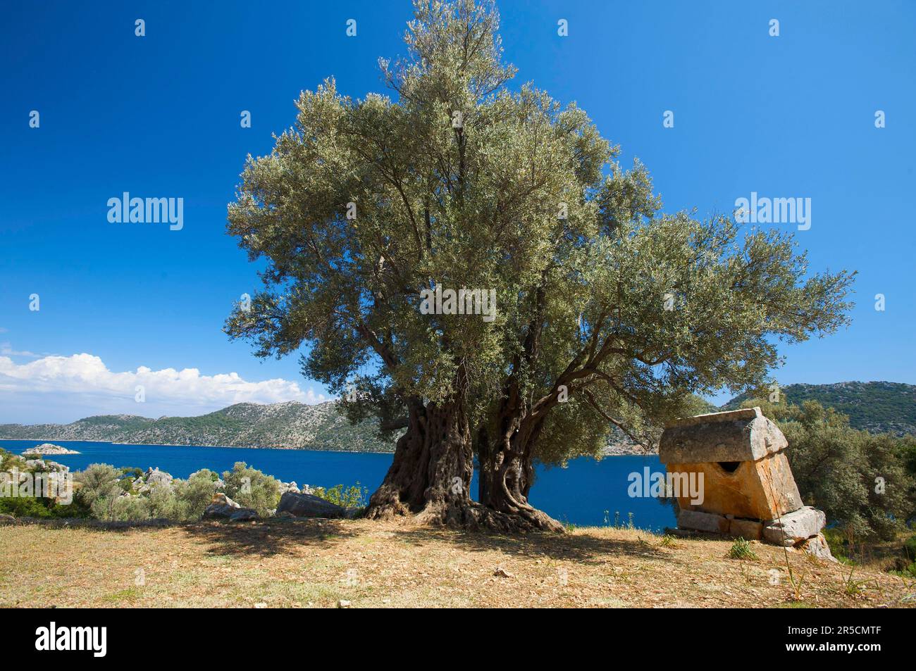 Sarcophagus at Kale, Riviera, Sarcophagi, Simena and Kekova Island ...