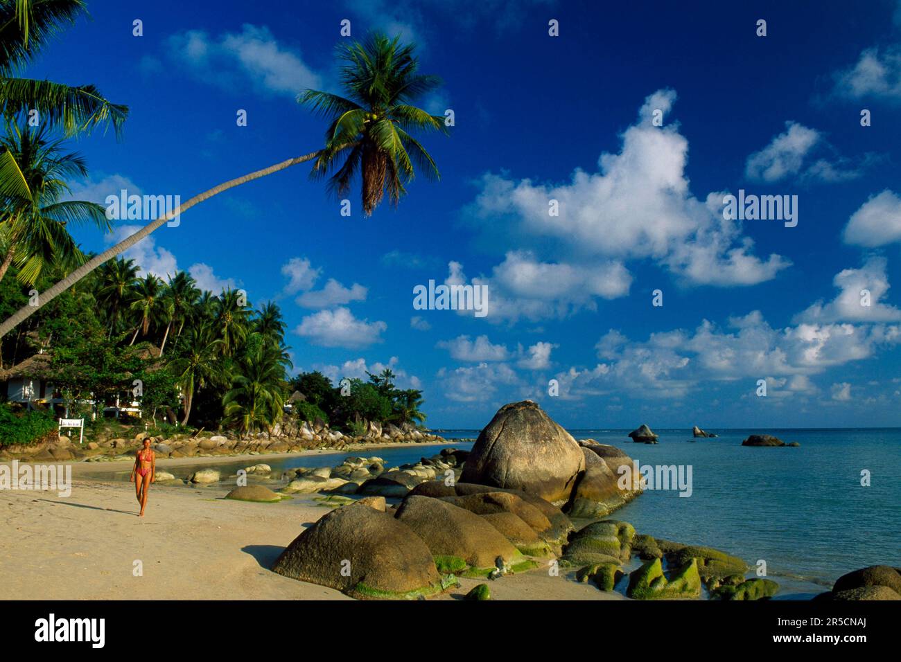 Lamai Beach, Ko Samui, Thailand, Palm Beach, Palm trees, Woman, People ...