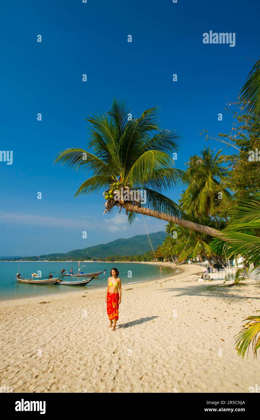 Lamai Beach, Ko Samui Island, Thailand, Southern Thailand, Palm Beach ...