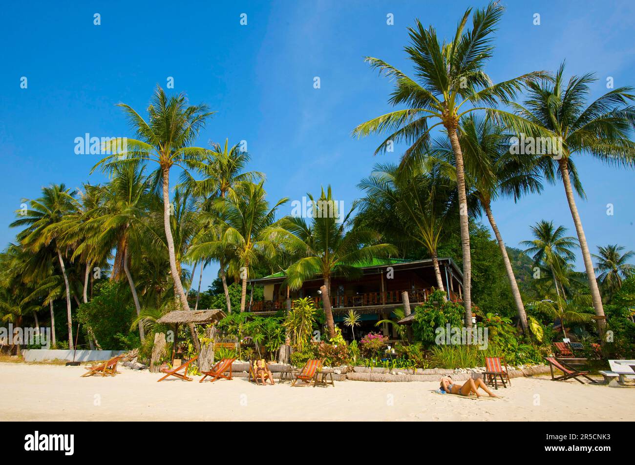 Lamai Beach, Ko Samui Island, Thailand, Southern Thailand, Palm Beach ...