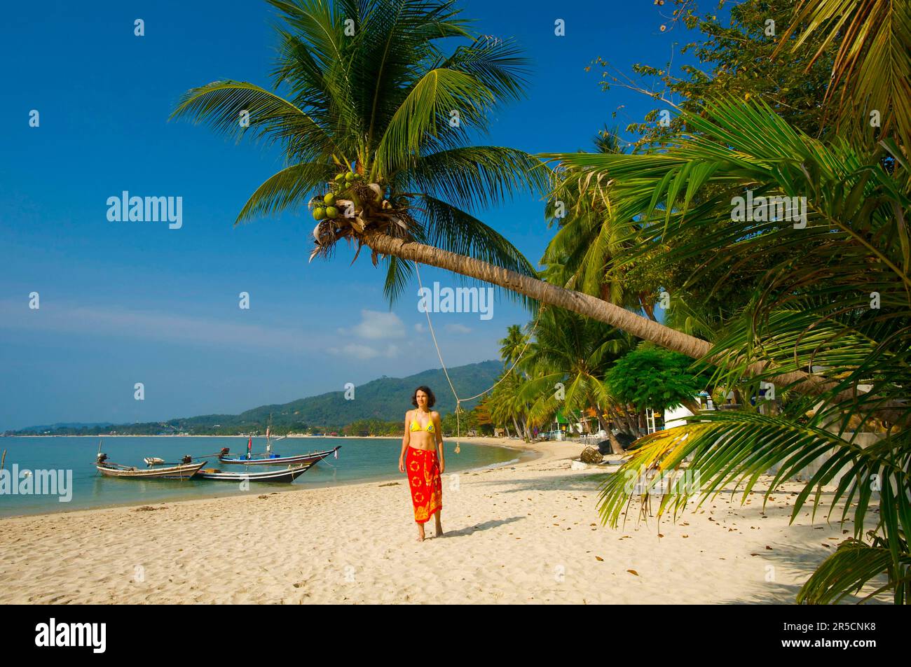 Lamai Beach, Ko Samui Island, Thailand, Southern Thailand, Palm Beach ...