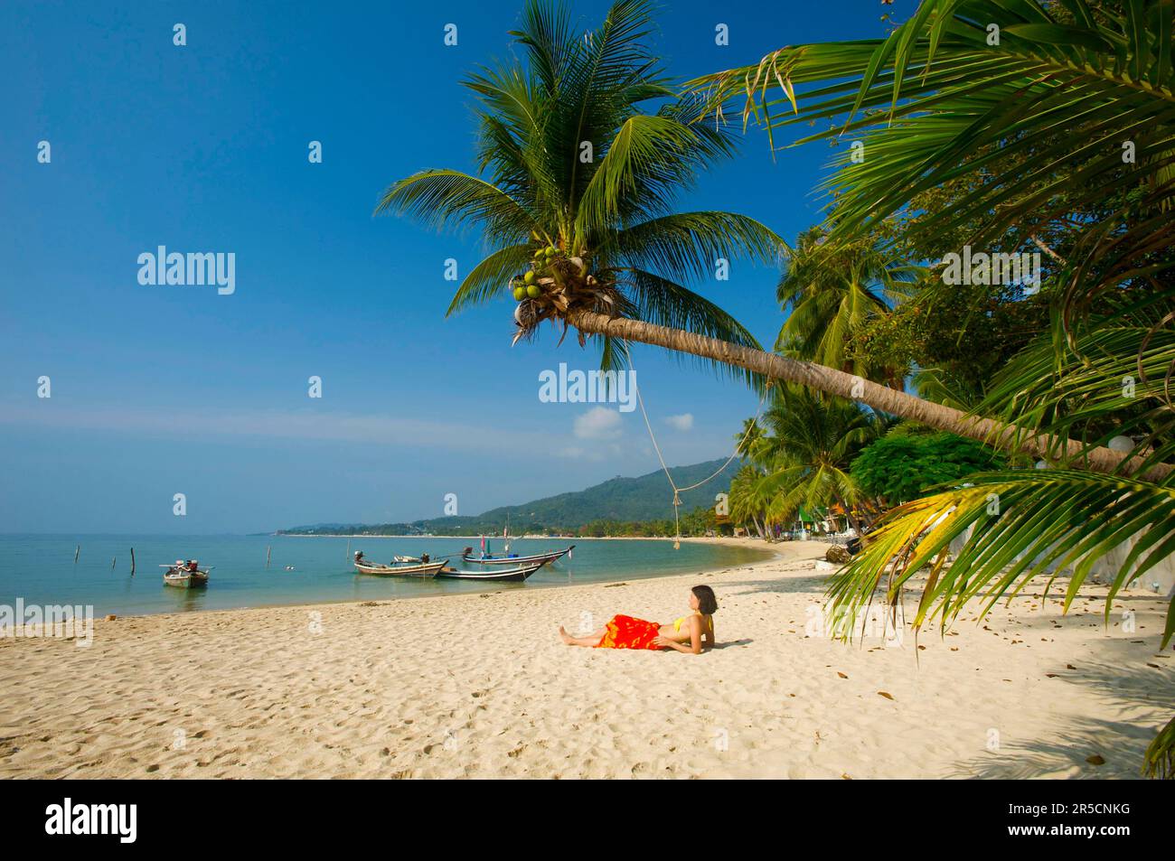 Lamai Beach, Ko Samui Island, Thailand, Southern Thailand, Palm Beach ...