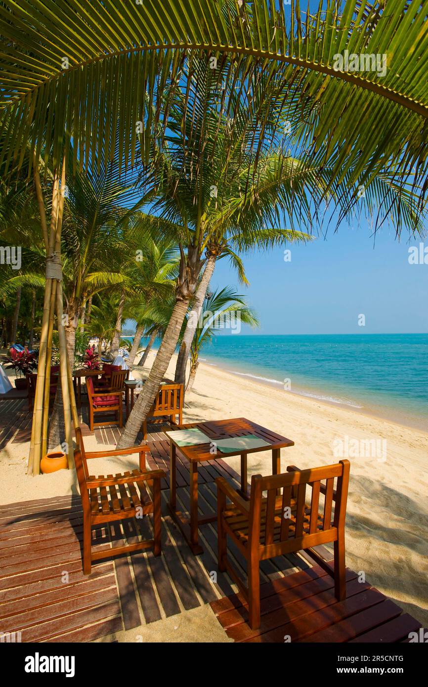 Mae Nam Beach, Ko Samui Island, Thailand, Southern Thailand, Palm Beach ...
