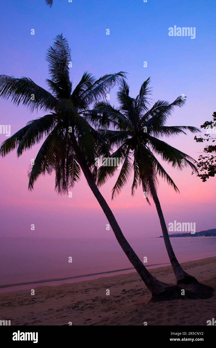 Sunset at Lamai Beach, Ko Samui Island, Thailand, South Thailand, Palm ...
