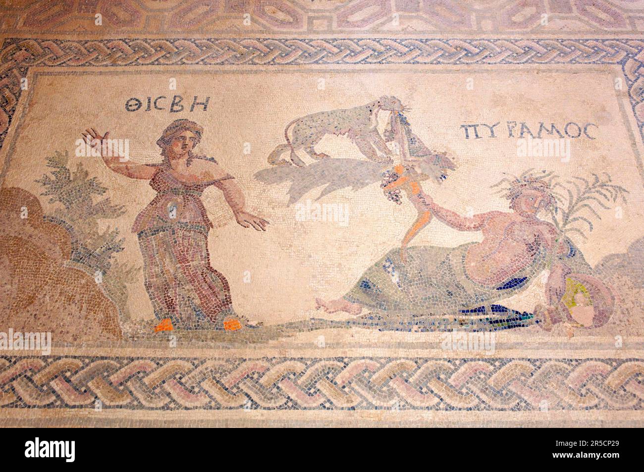 Mosaics in the House of Dionysus at the excavation site of Pafos ...