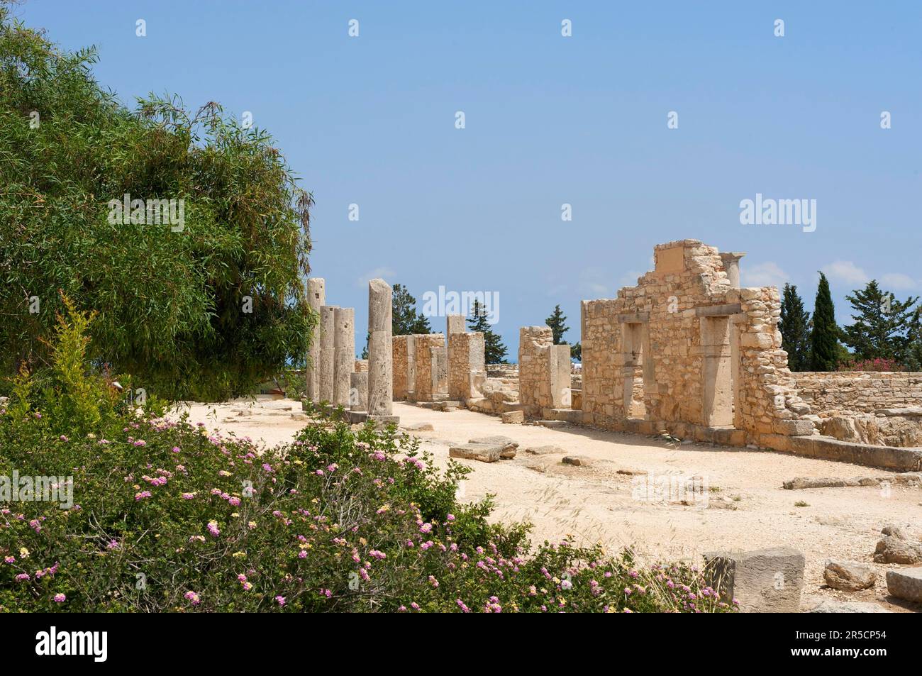 Apollo Hylates Sanctuary near Kourion, Limassol, South Cyprus, South ...