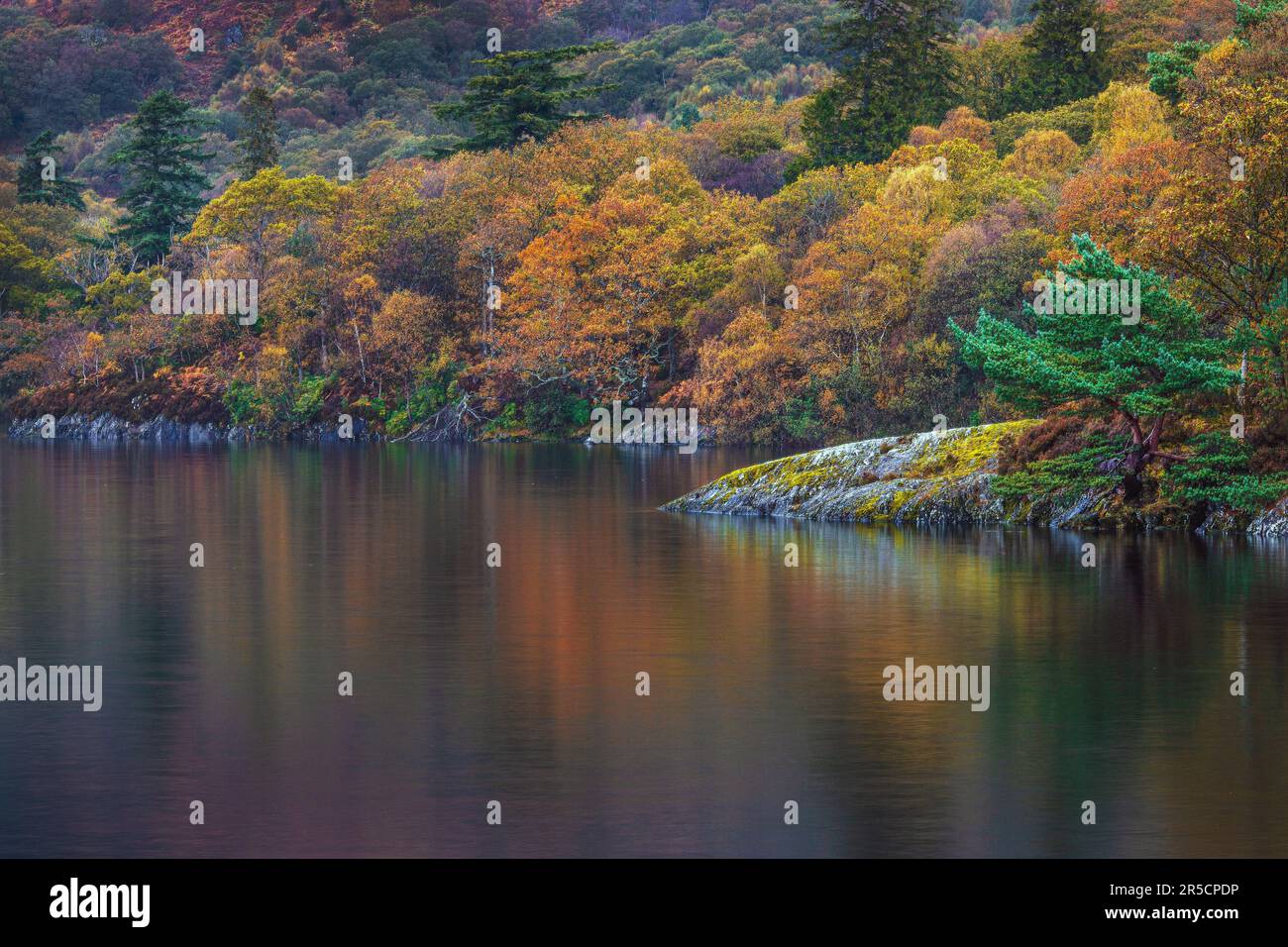 Autumn view, Loch Lomond, Scotland UK Stock Photo - Alamy