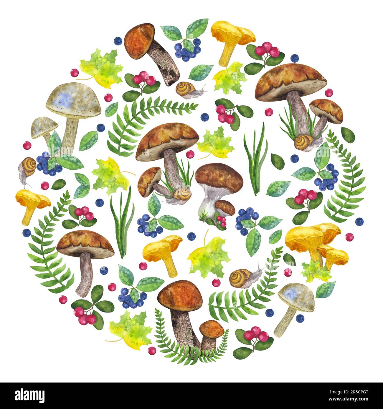 Round botanical composition: edible mushrooms, leaves and berries, fern ...