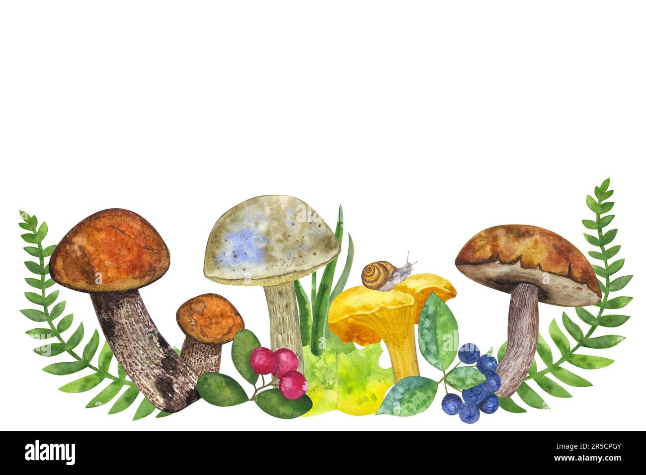 Compositions edible mushrooms, leaves and berries, fern, snail ...