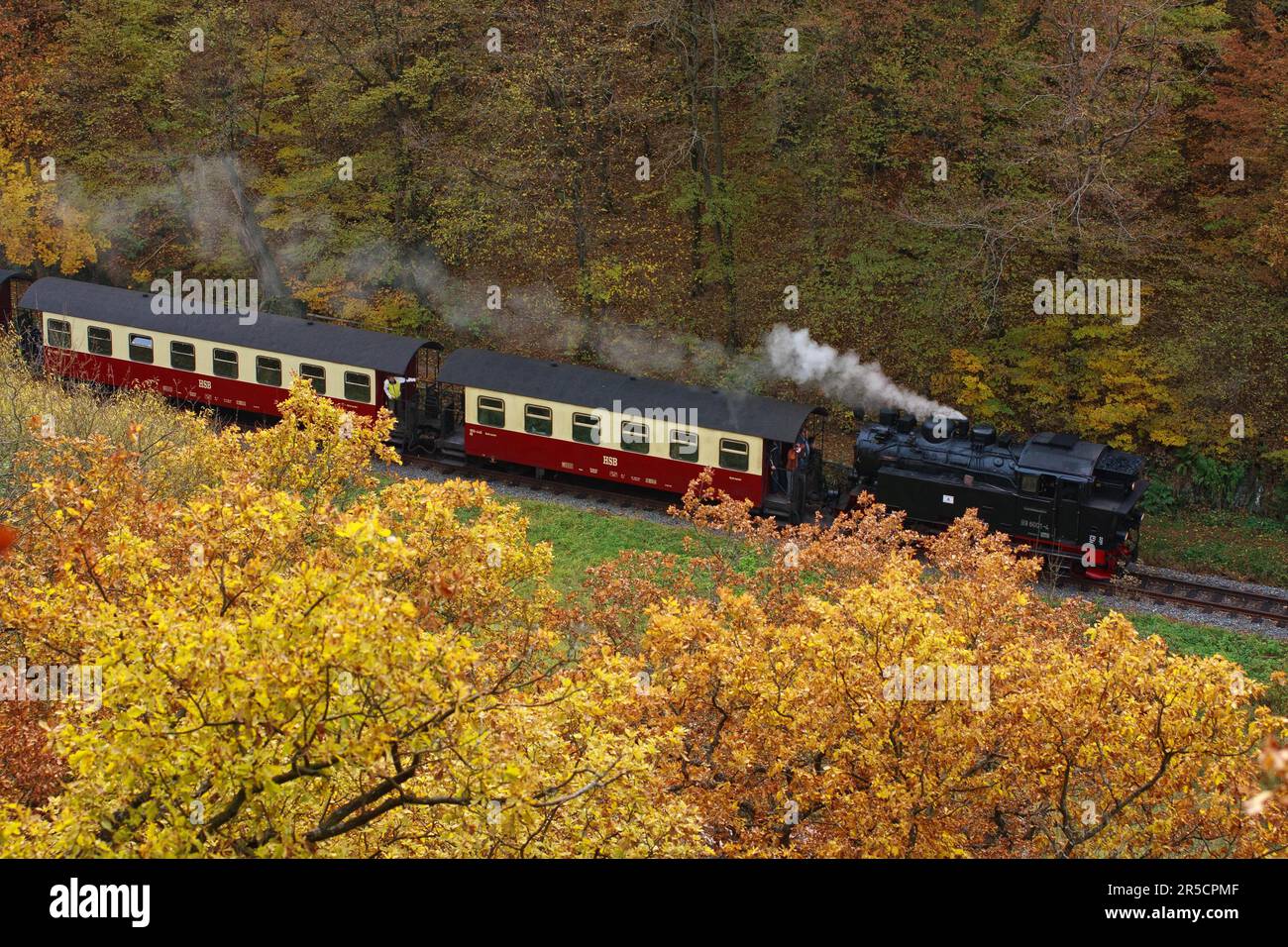 Selke Valley Railway Stock Photo - Alamy