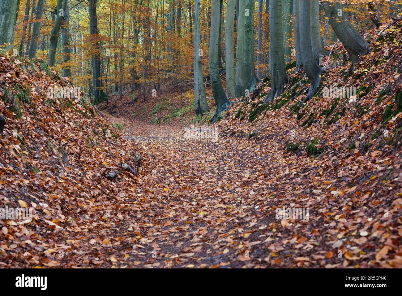 The sunken path hi-res stock photography and images - Alamy