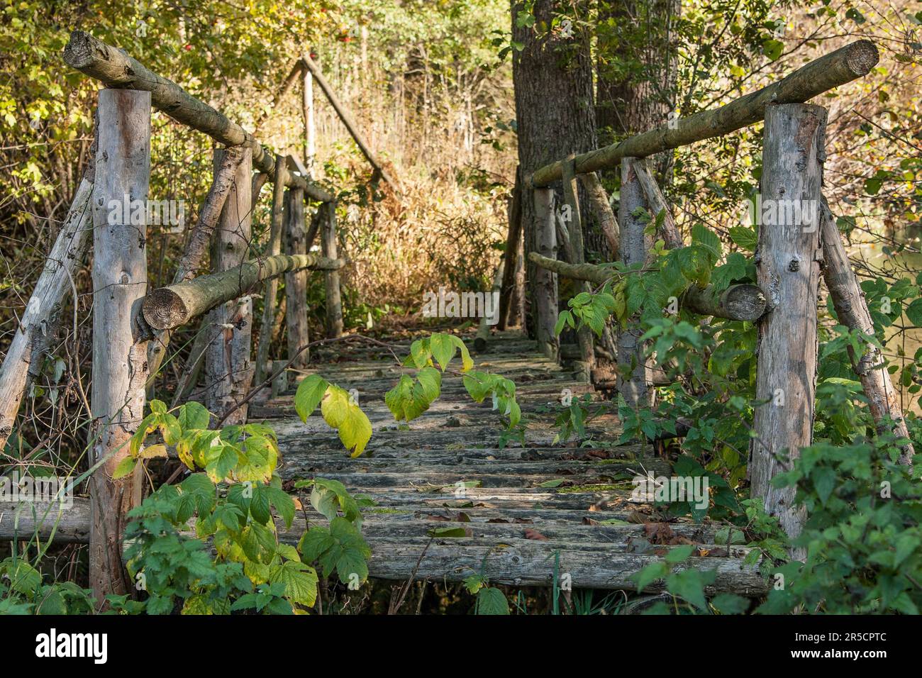 Hiking trail with wooden bridge Stock Photo - Alamy