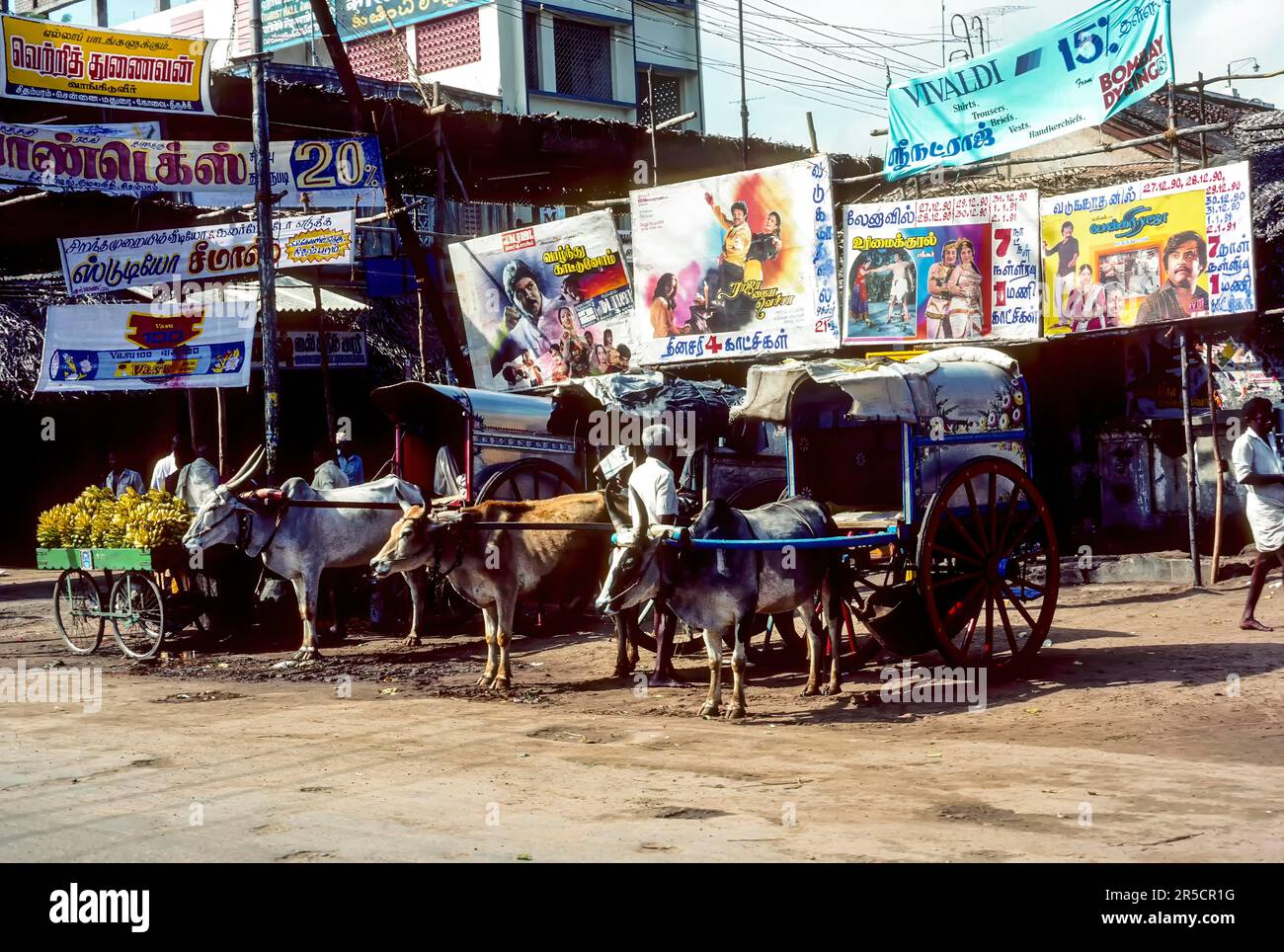 Bullock carts for hire in Chidambaram, Tamil Nadu, South India, India ...