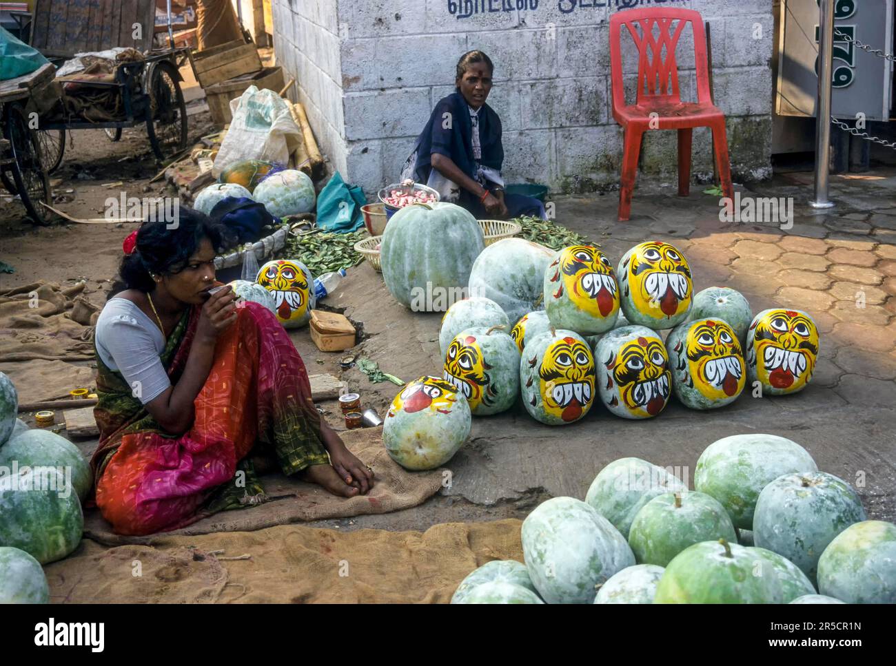 A woman Selling Ash gourd or wax gourd (Benincasa hispida) which is ...