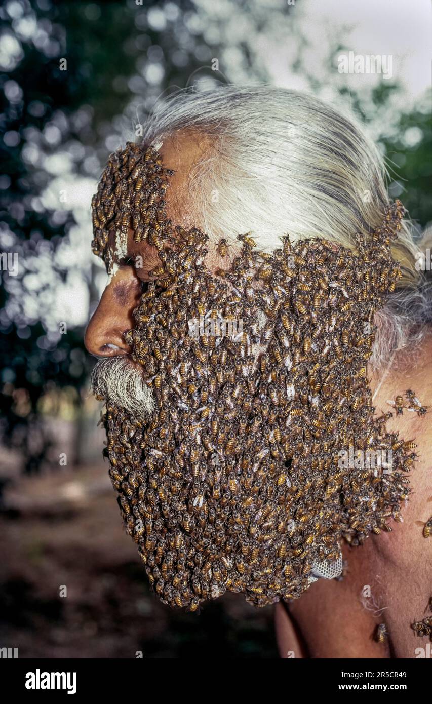 Bee beard late Mr. Rangaramanujam kannaian, Face of man covered with ...