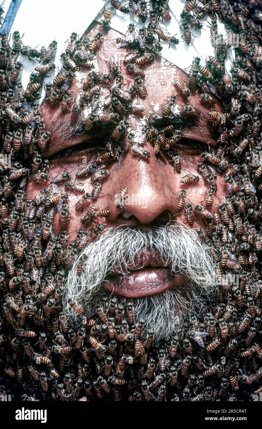 Bee beard late Mr. Rangaramanujam kannaian, Face of man covered with ...