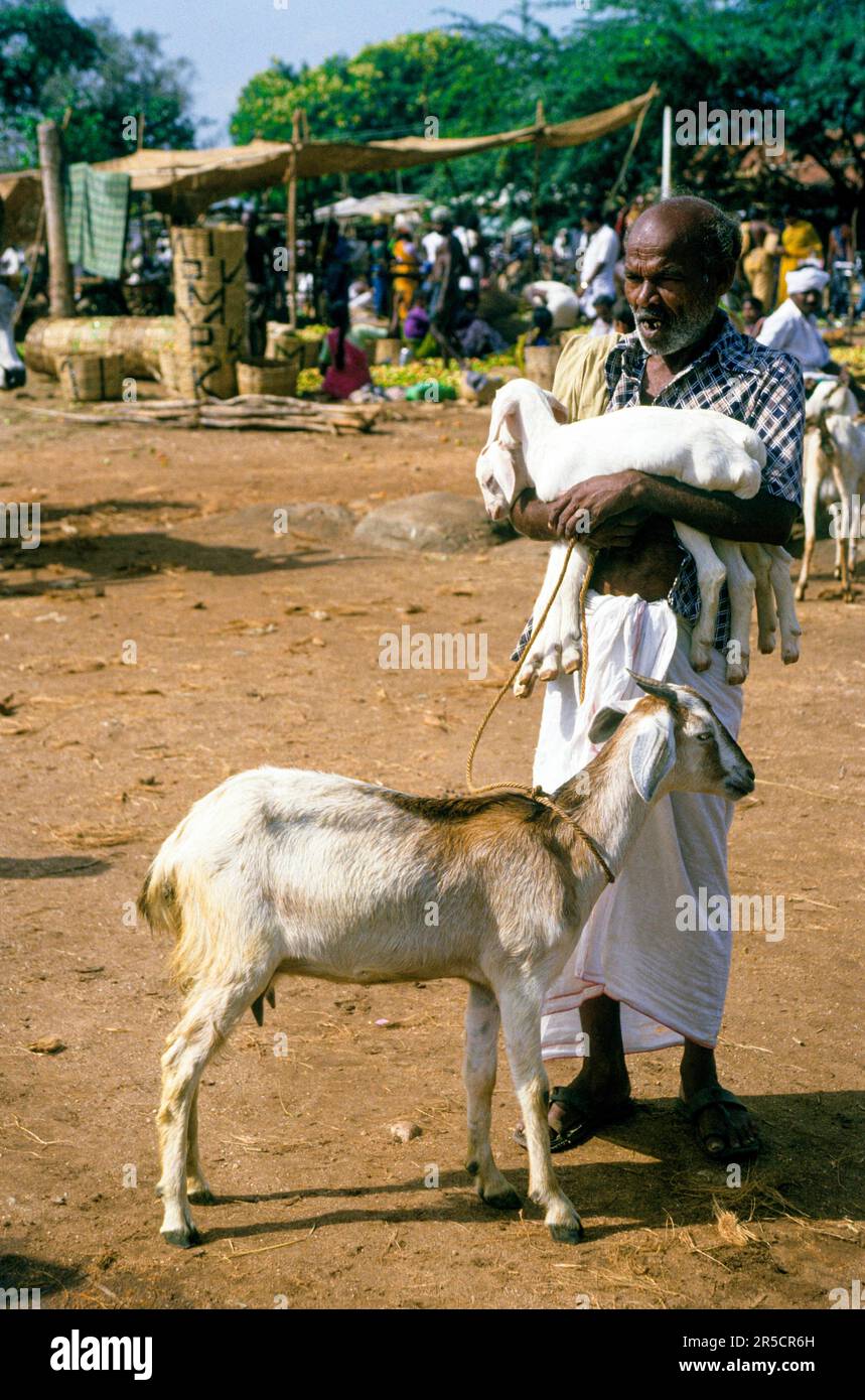 A man holding a kid and goat for sale, weekly periodical market at ...