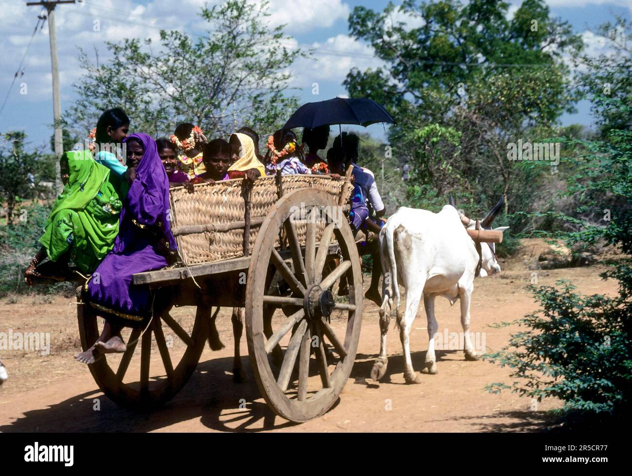 A journey in a bullock cart by villagers, Tamil Nadu, South India ...
