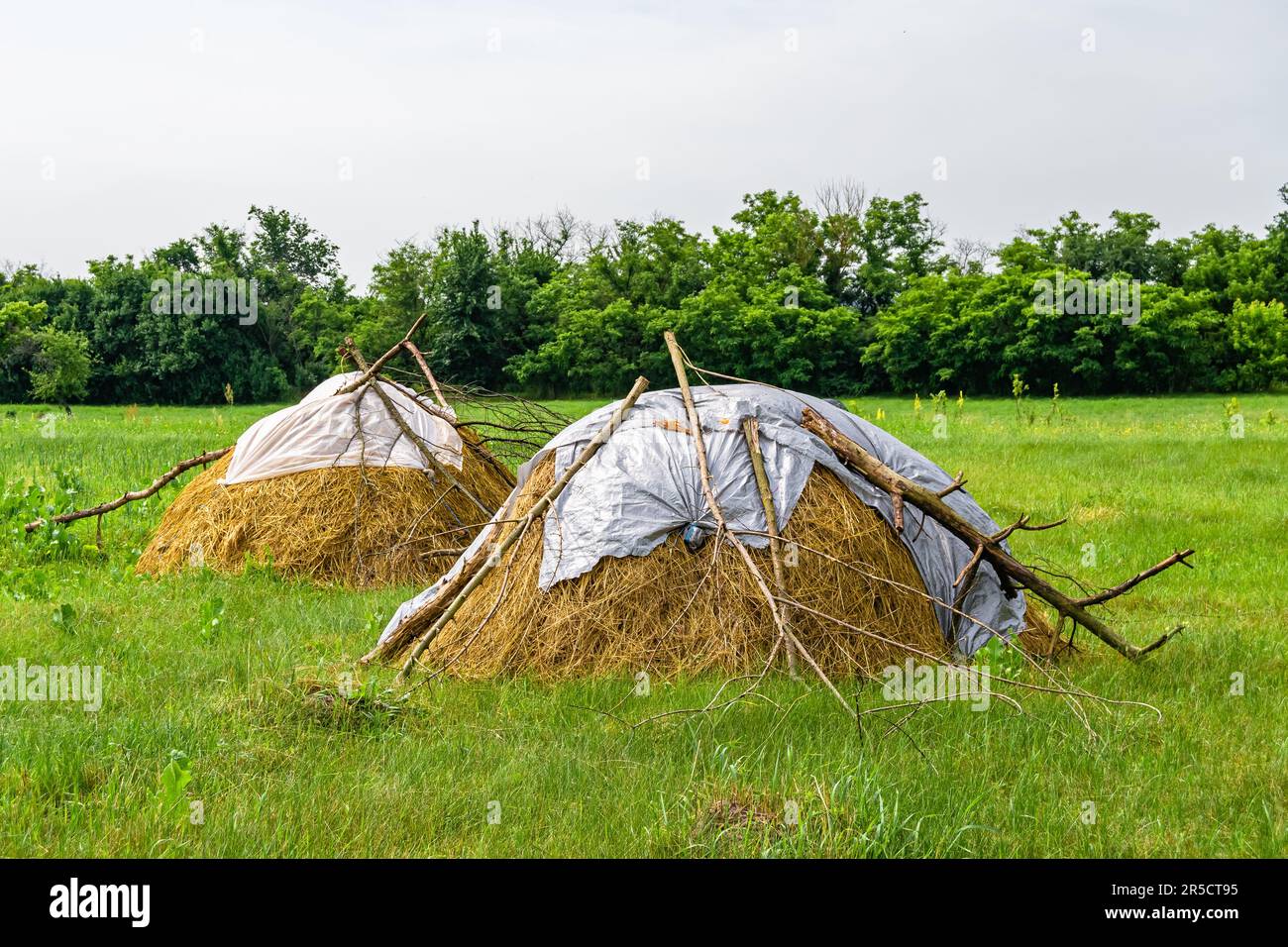 Photography on theme big dry haystack in grass farm field, photo ...