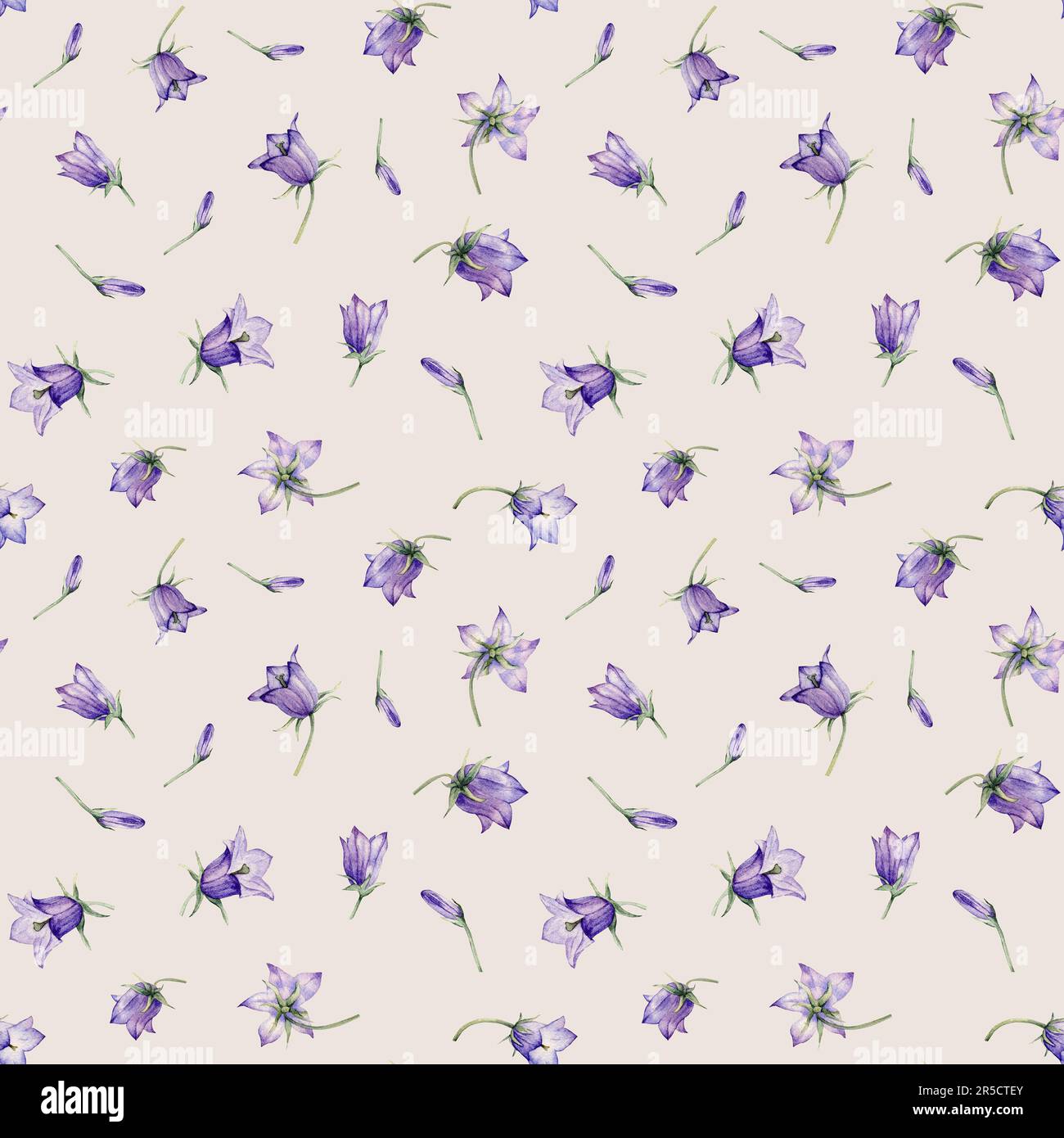 Seamless pattern watercolor summer flowers. Scilla. Campanula patula, little bell, bluebell ...