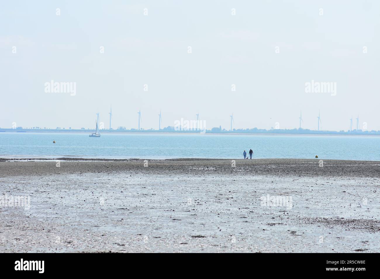 Mersea island people hi-res stock photography and images - Alamy