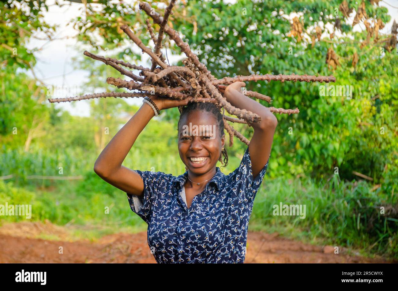 African woman carrying wood on head hi-res stock photography and images ...