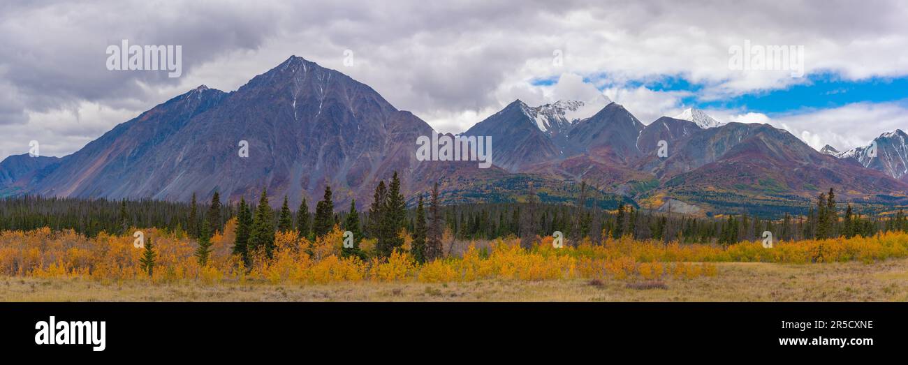 Fall panoramic landscape in northern Canada during autumn with bright ...