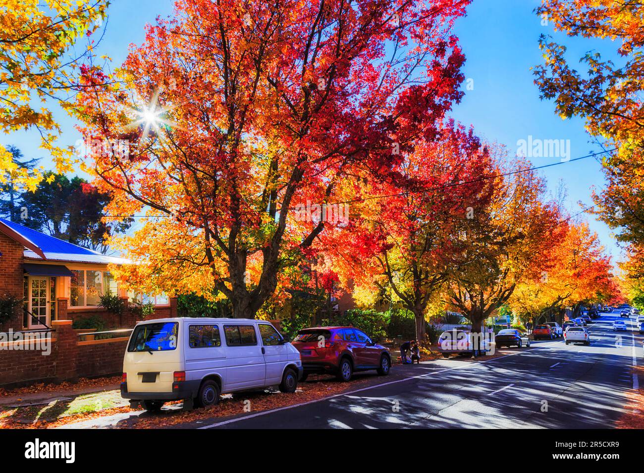 Bright vivid autumn colours of red yellow trees on streets of ...