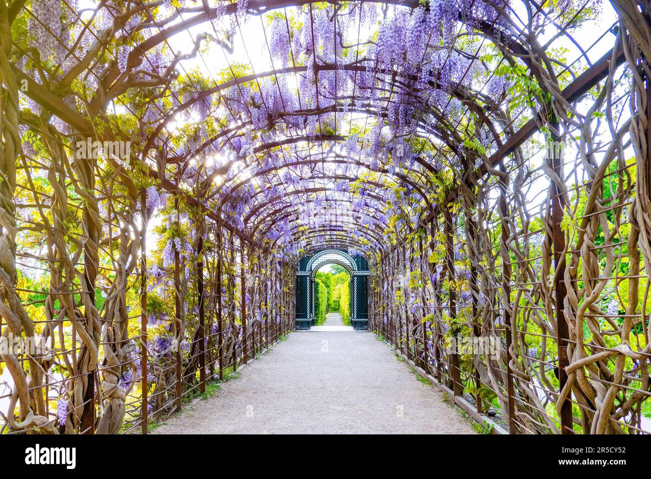 Vienna, Austria - May 10, 2023: Beautiful sunset landscape with ...