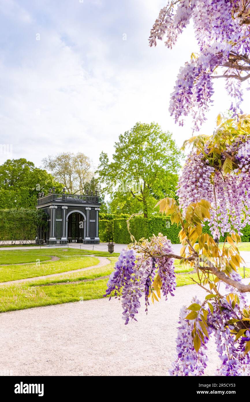 Vienna, Austria - May 10, 2023: Beautiful sunset landscape of blooming ...