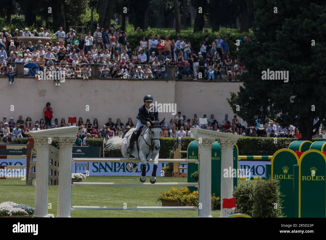 Sampson horse hi-res stock photography and images - Alamy