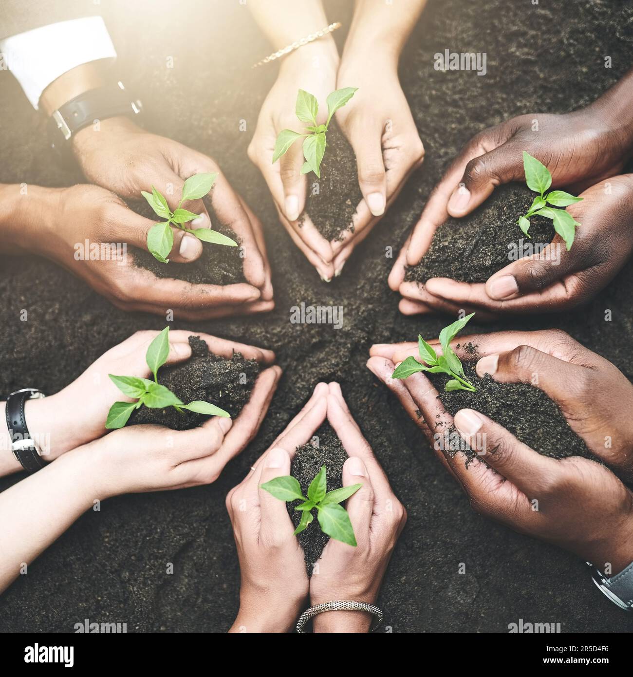 Growth is in the hands of humanity. a group of people holding plants ...