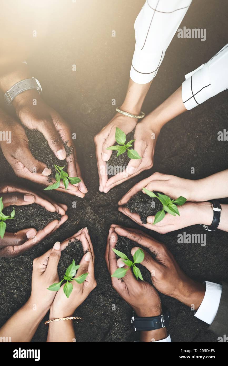 When we work together we grow. a group of people holding plants growing ...