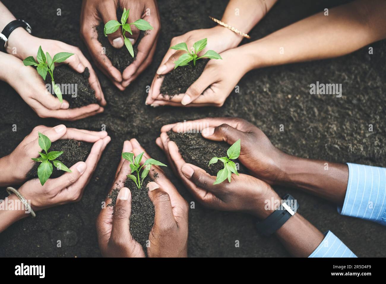 Nothing grows a company like teamwork. a group of people holding plants ...