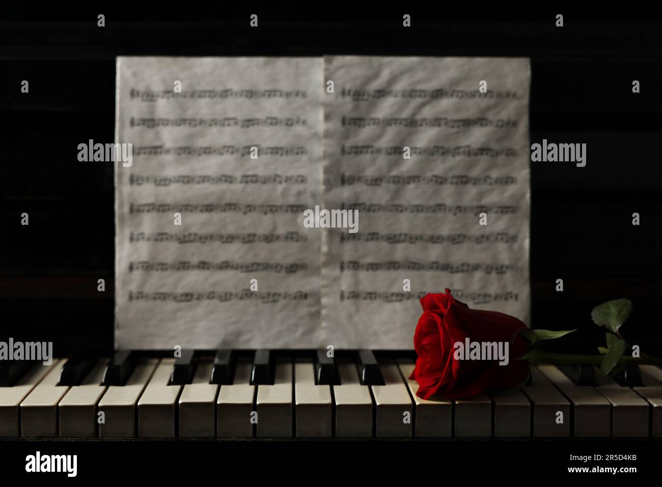 Beautiful red rose and musical notes on piano, space for text Stock ...