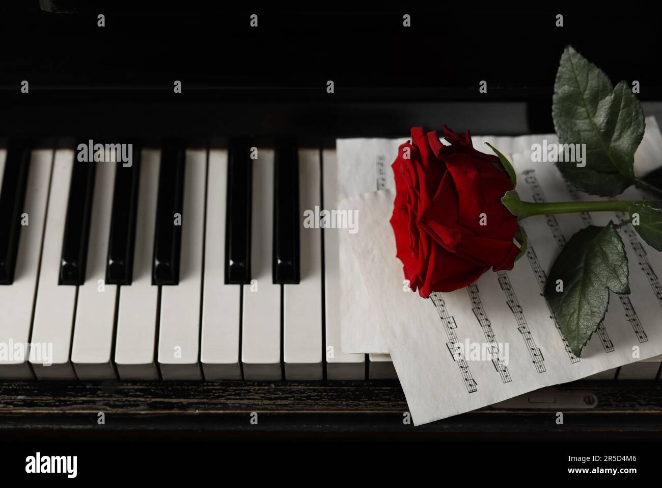 Beautiful red rose and musical notes on piano keys Stock Photo - Alamy